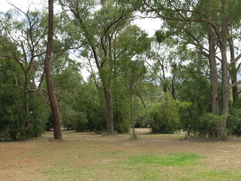 Green Funerals - Eco Friendly Funerals - Oakdale Funerals Tel: 9726 8724